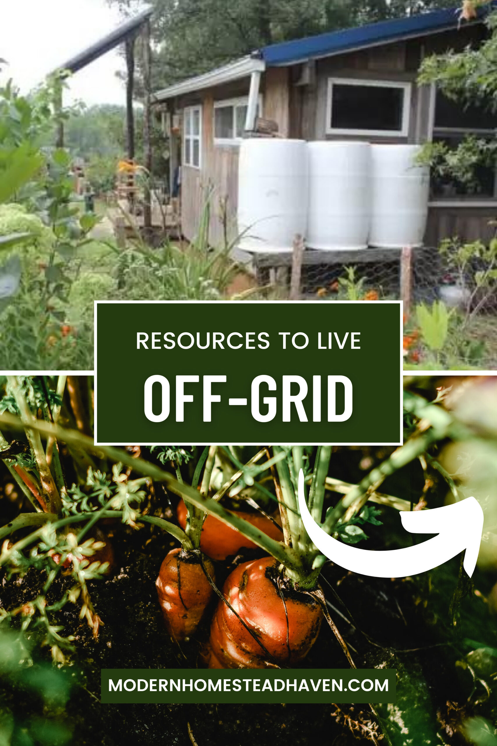 Learn To Live Off Grid - Modern Homestead Haven