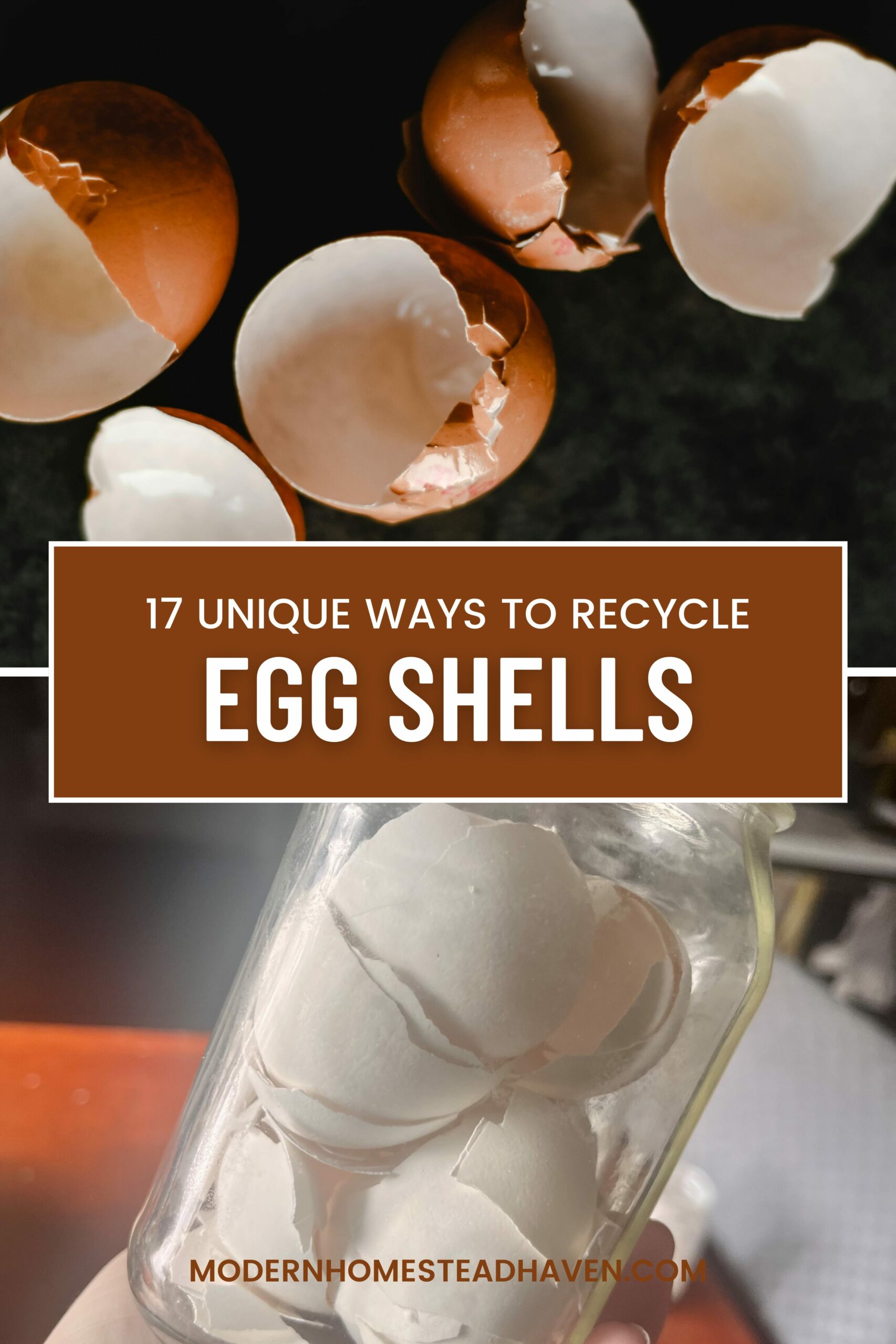17 Ways to Recycle Eggshells - Modern Homestead Haven