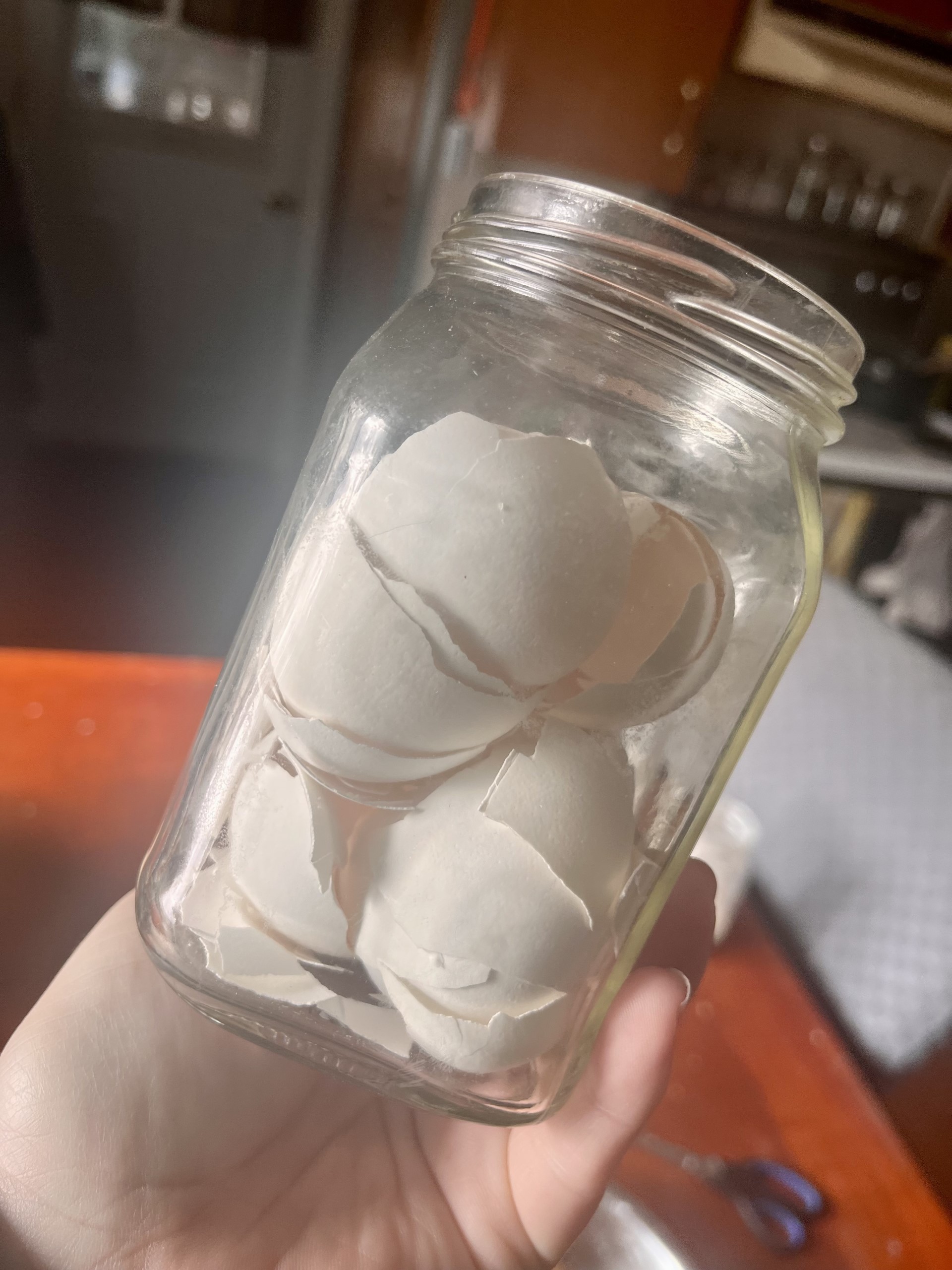 17 Ways To Recycle Eggshells Modern Homestead Haven