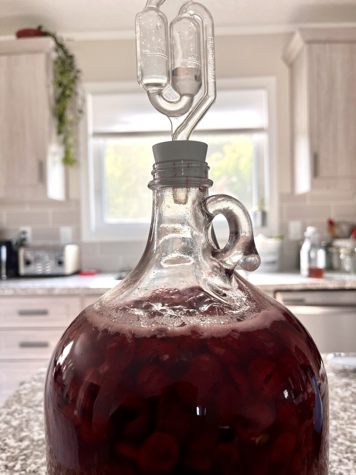 Cherry Mead - Modern Homestead Haven